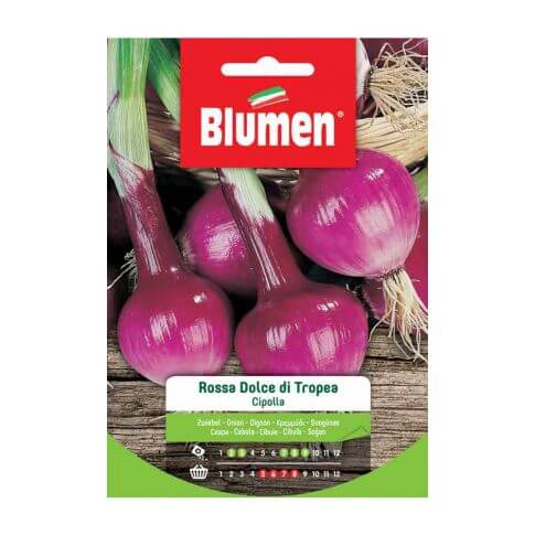 Sweet red onion seeds from Tropea Blumen | Iperbriko